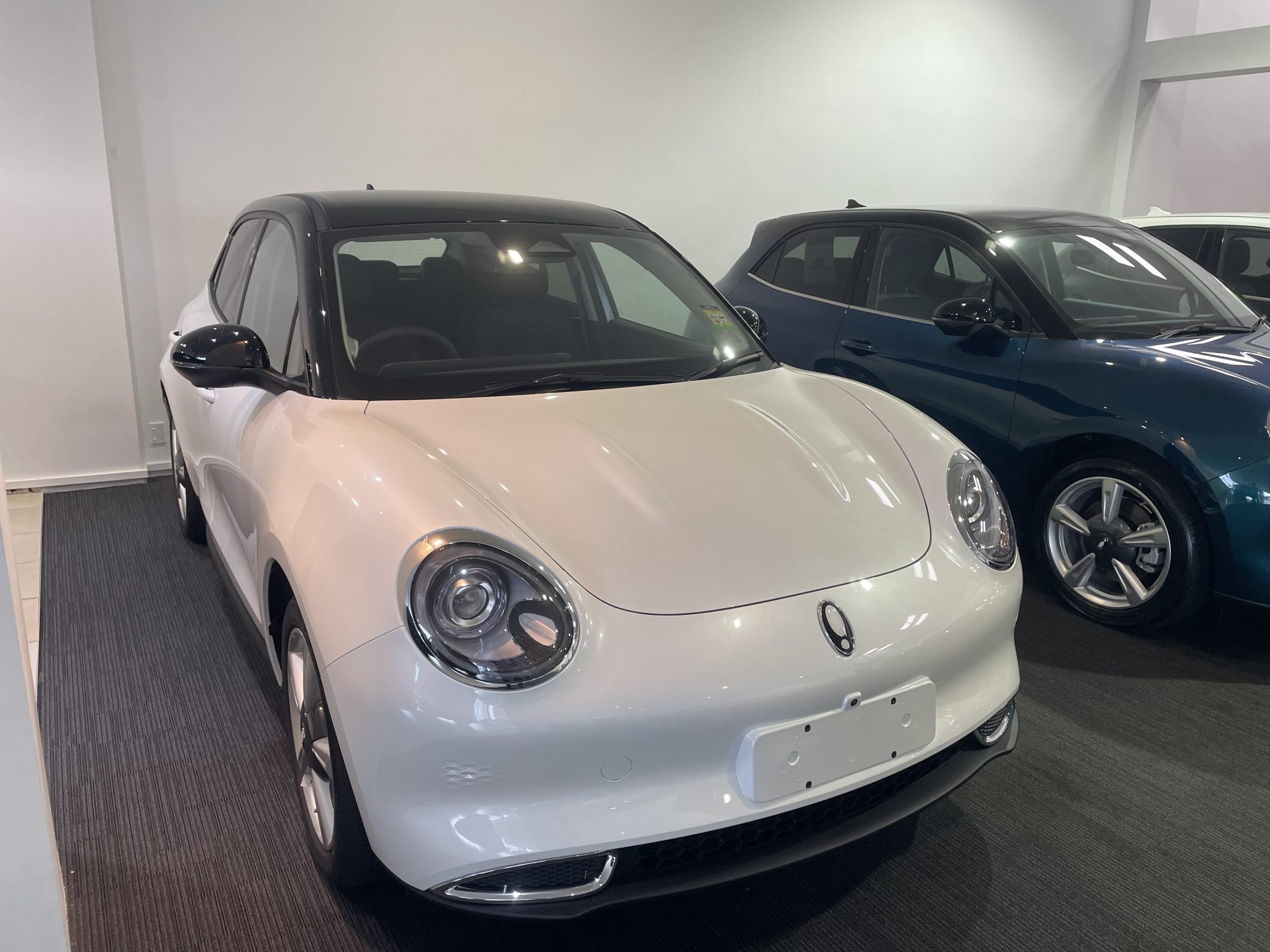 GWM ORA Cat EV launch off in NZ - EVPort